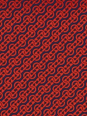 FERRAGAMO Printed Neck Tie