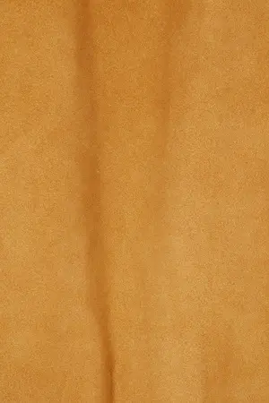 Loewe Balloon Silhouette Buttoned Jacket - Camel