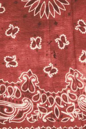 GOLDEN GOOSE Paisley Printed Distressed Effect Scarf - Brown