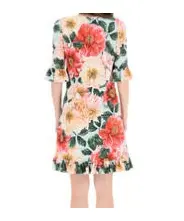 Dolce & Gabbana Floral Print Mini Dress