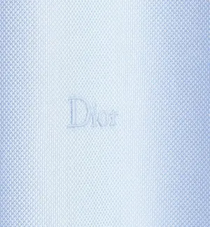 Dior Shirt With Embroidery
