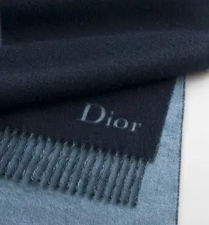 Dior Reversible Fringed Scarf