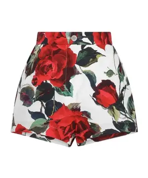 Dolce & Gabbana Rose Print High-waisted Shorts