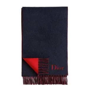 Dior Double-sided Scarf - Navy Blue/red