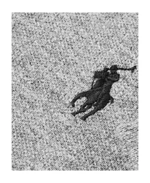 Polo Ralph Lauren Logo Embroidered Polo Shirt