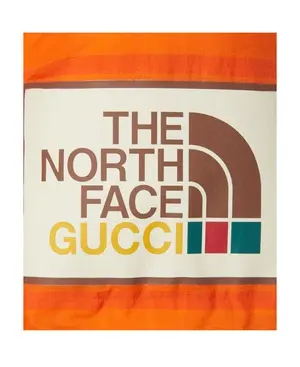 Gucci The North Face X Down Jacket - Orange