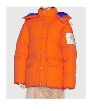Gucci The North Face X Down Jacket