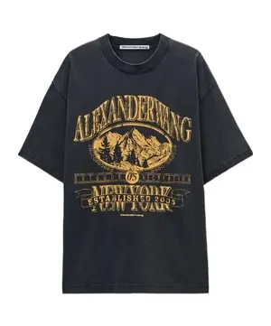 Alexander Wang T-shirts For Men