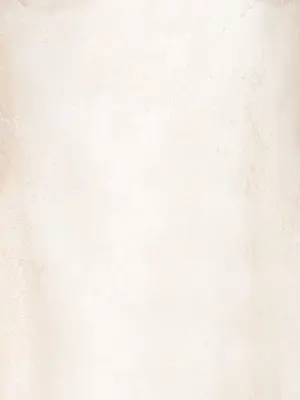 Alberta Ferretti Long Sleeve V-neck Lace Top