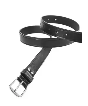 ANN DEMEULEMEESTER Willow Buckle Belt