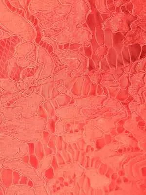 Valentino Garavani Wide-sleeve Lace Dress