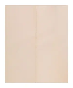 Zimmermann Eden Trousers Wide Leg, Belted, Pleated - Macadamia