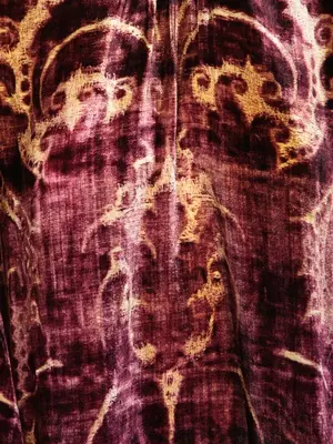 PIERRE-LOUIS MASCIA Printed Velvet Blouse