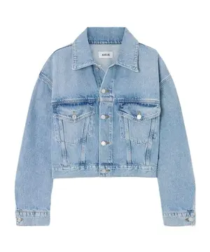 AGOLDE Button Cropped Denim Jacket