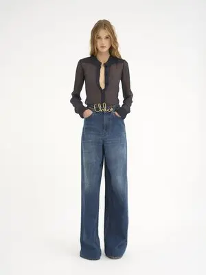 Chloé Sheer Button-up Blouse