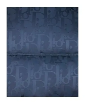 Dior Logo Quilted Sleeveless Down Jacket