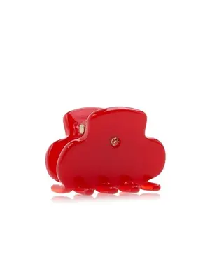 Etro Hair Clips
