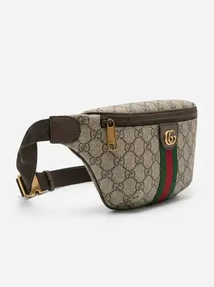 Gucci Ophidia Small Belt Bag - Beige And Dark Brown