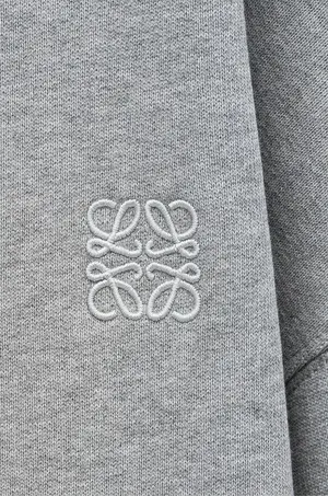 Loewe Long-sleeved Drawstring Hoodie - Grey