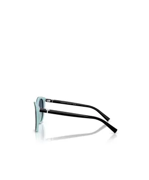 TIFFANY  CO. Tiffany & Co. Cat Eye Frame Sunglasses