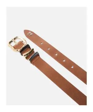 Pinko Love Bird Buckle Belt - Brown