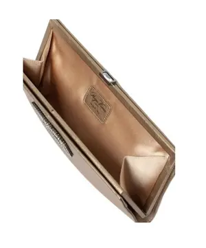 ROGER VIVIER Embellished Crystal Buckle Clutch