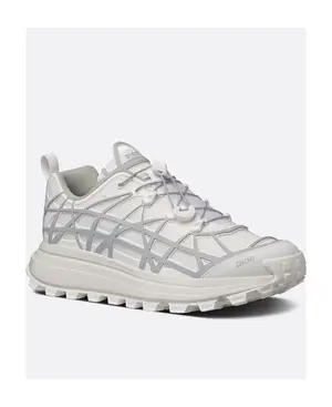 Dior B31 Runner Sneakers - Gray
