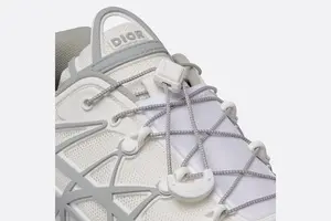 Dior B31 Runner Sneakers - Gray