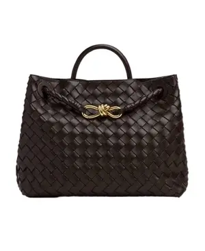 Bottega Veneta Andiamo Medium Shoulder Bag - Fondant