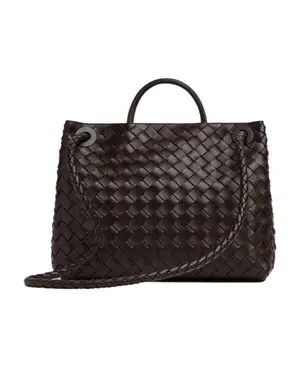 Bottega Veneta Andiamo Medium Shoulder Bag - Fondant