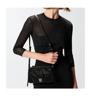 Pinko Mini Double Bag Shoulder Bag