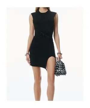 Alexander Wang Sleeveless Round Neck Mini Dress