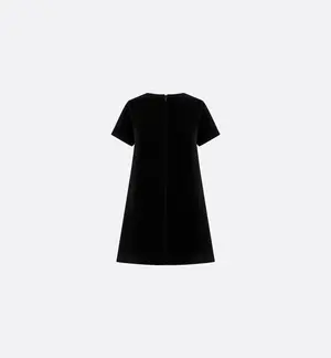 Dior A-line Dress With Embroidered Bee