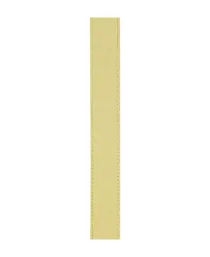 Alexander McQueen Embossed Buckle Belt