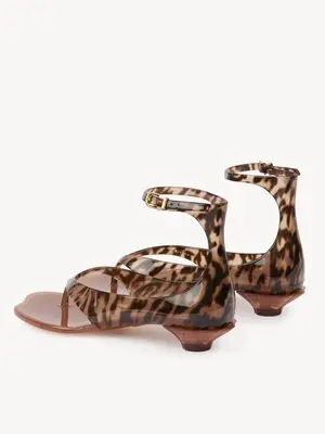 Chloé Jelly Thong Sandals With Ankle Strap - Black-brown