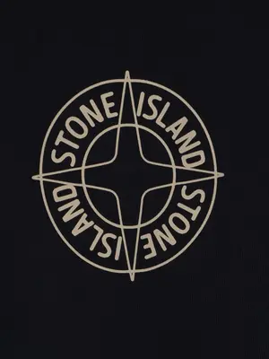 Stone Island Logo Printed Crewneck Sweatshirt