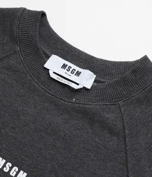 MSGM Cotton Crewneck Sweatshirt With Embroidered Logo