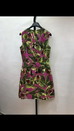 Dolce & Gabbana Sleeveless Printed Dress