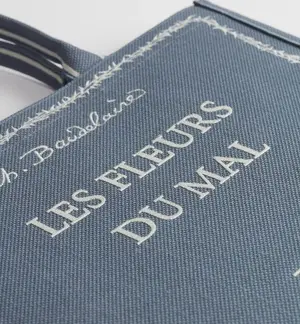 Dior Large Book Tote