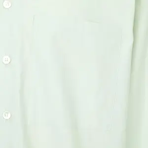 Auralee Long Sleeve Shirt
