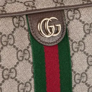 Gucci Ophidia Small Camera Bag - Beige/dark Brown