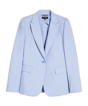 Max Mara Quito Single-breasted Jacket - Light Blue