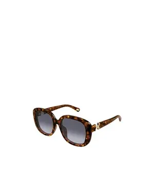 Chloé Eyewear Tortoiseshell Oval Sunglasses - Gray