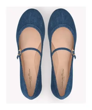 GIANVITO ROSSI Carla Ballerina Flats - Blue
