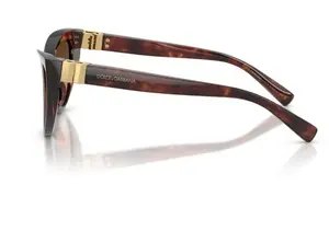 Dolce & Gabbana Full Rim Cat Eye Sunglasses