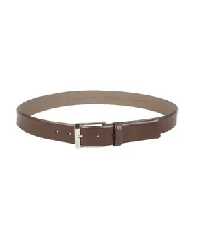 Hugo Boss Logo Belt With Needle Buckle - Brown