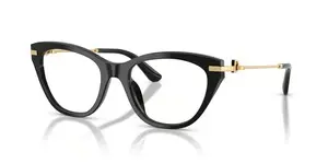 Dolce & Gabbana Cat Eye Frame Eyeglasses