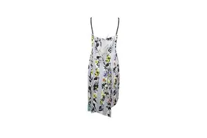 Off-White Striped Floral Print Dress