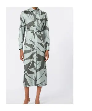 Max Mara Printed Maxi Dress With Shirt Collar - Green