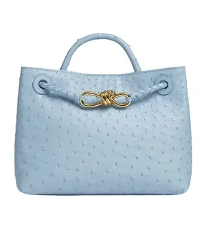 Bottega Veneta Small Andiamo Top Handle Bag In Ostrich Leather